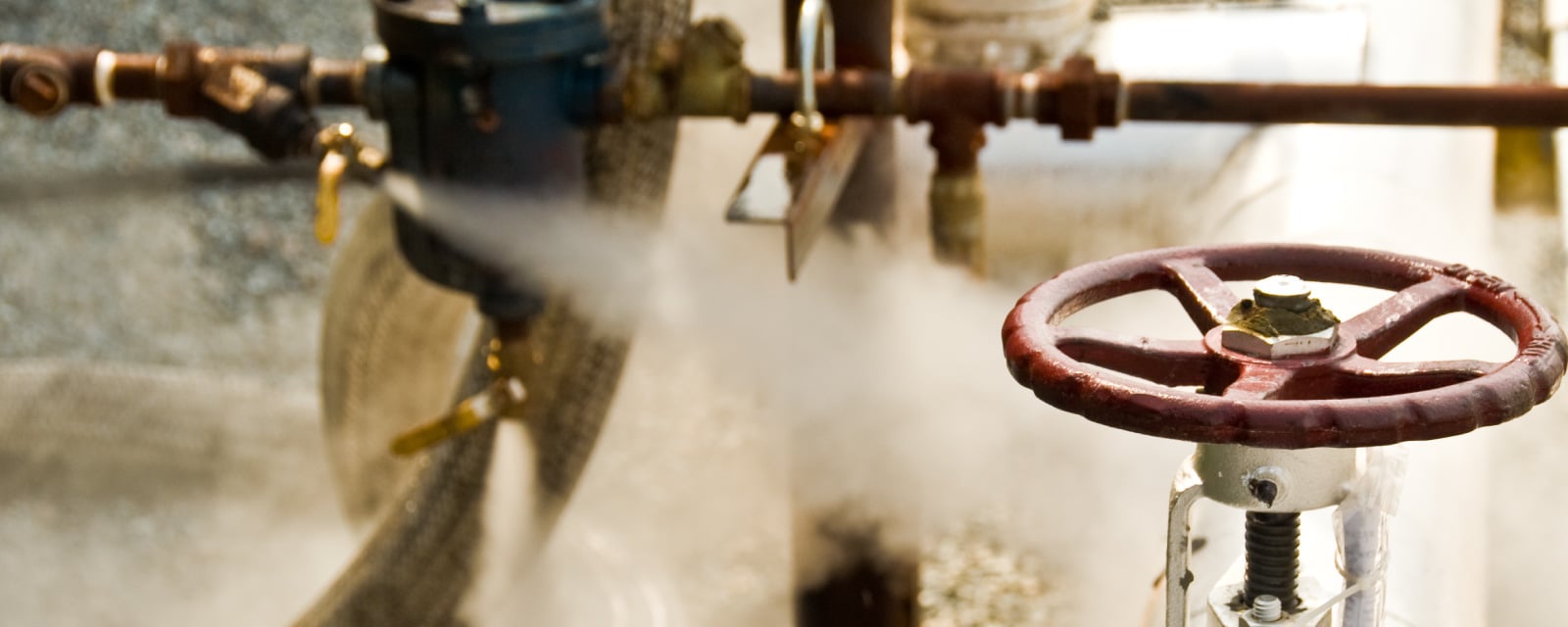 Home [experitec.com]